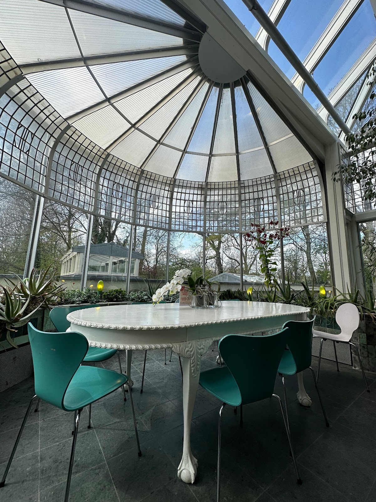 De Roos | Reviews 2025 | Well Traveled