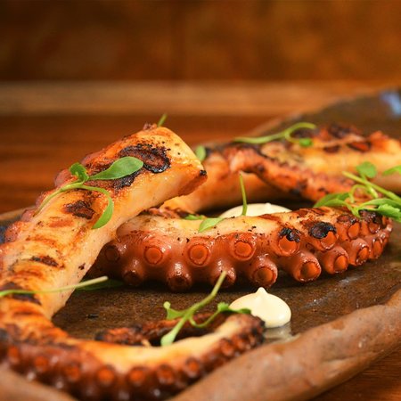 Tora Tulum | Reviews 2025 | Well Traveled