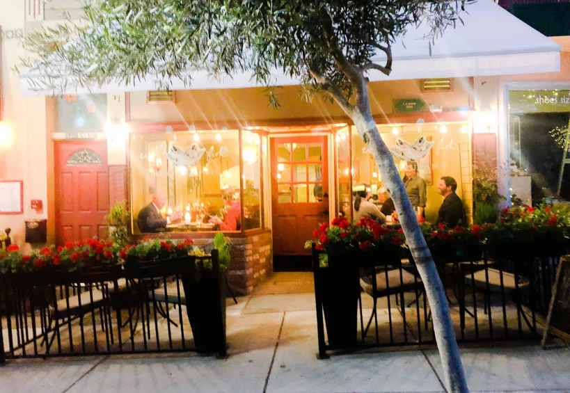 Wild Fish Restaurant | Reviews 2025 | Well Traveled