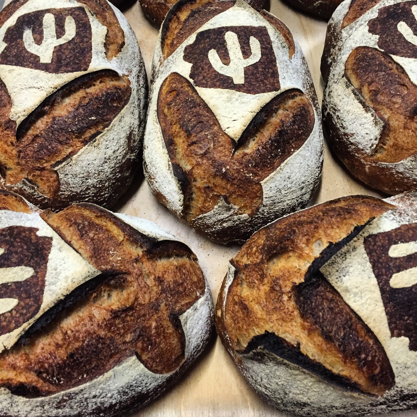 Barrio Bread | Reviews 2026 | Well Traveled