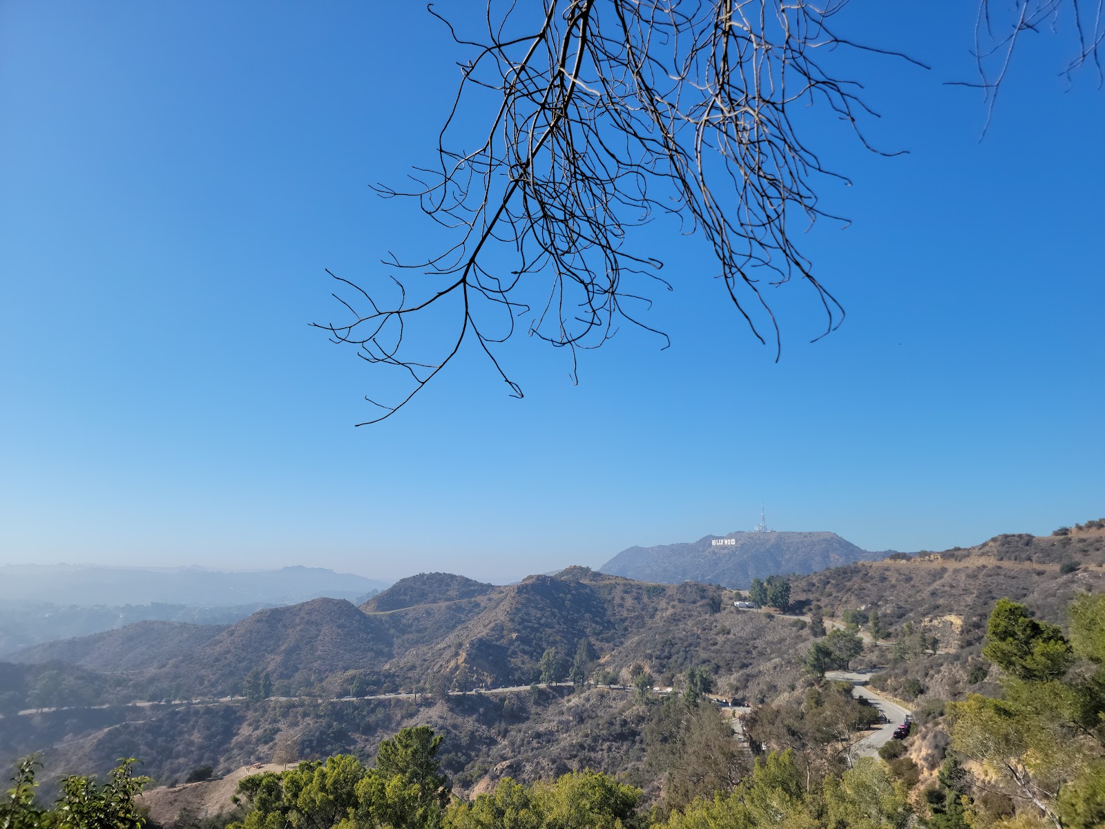 Griffith Park | Reviews 2025 | Well Traveled