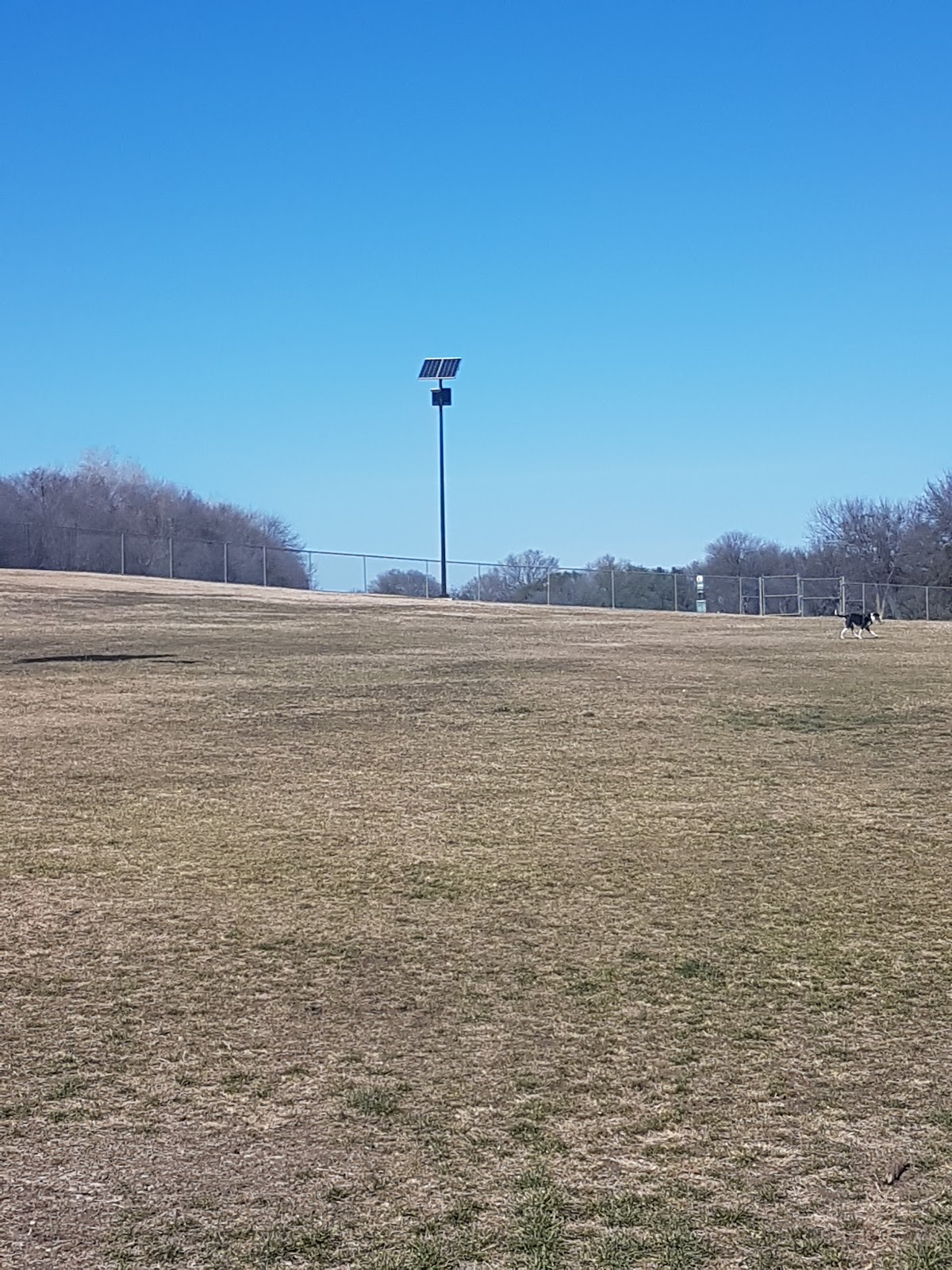 Z Bonz Dog Park | Reviews 2024 | Well Traveled