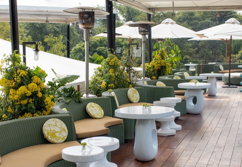 La Condesa DF Rooftop Terrace | Reviews 2025 | Well Traveled